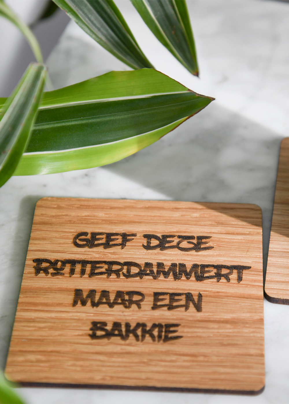 ONDERZETTERS – Rotterdamse Memes